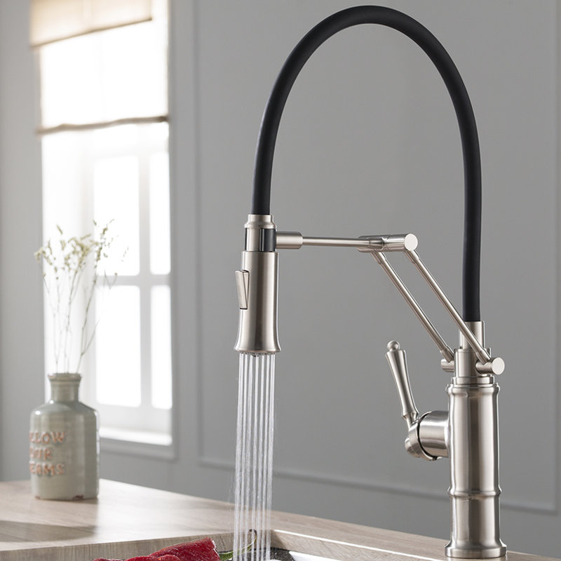 Blossom Pull Down Single Handle Kitchen Faucet & Reviews | Wayfair