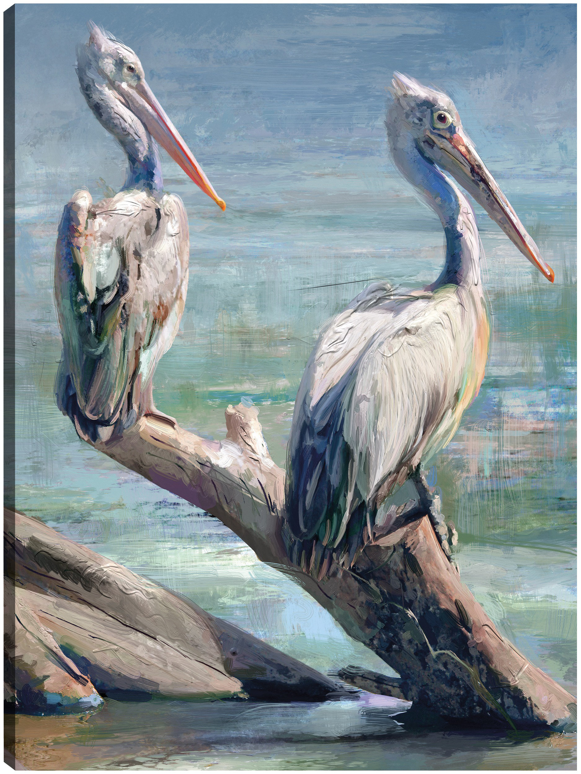 Dovecove Pelican Pair by Studio Arts Canvas Art Print | Wayfair