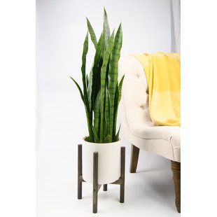 Wayfair | Indoor Planters You'll Love in 2022