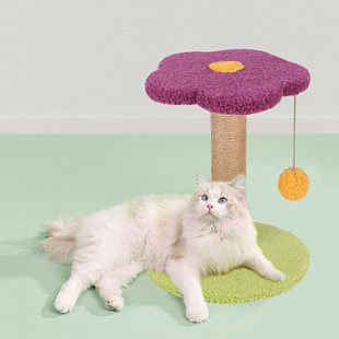 Wayfair | Cat Trees & Condos Under $25 You'll Love in 2022