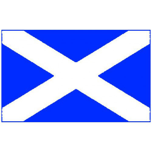 Trinx Scotland Traditional Flag | Wayfair