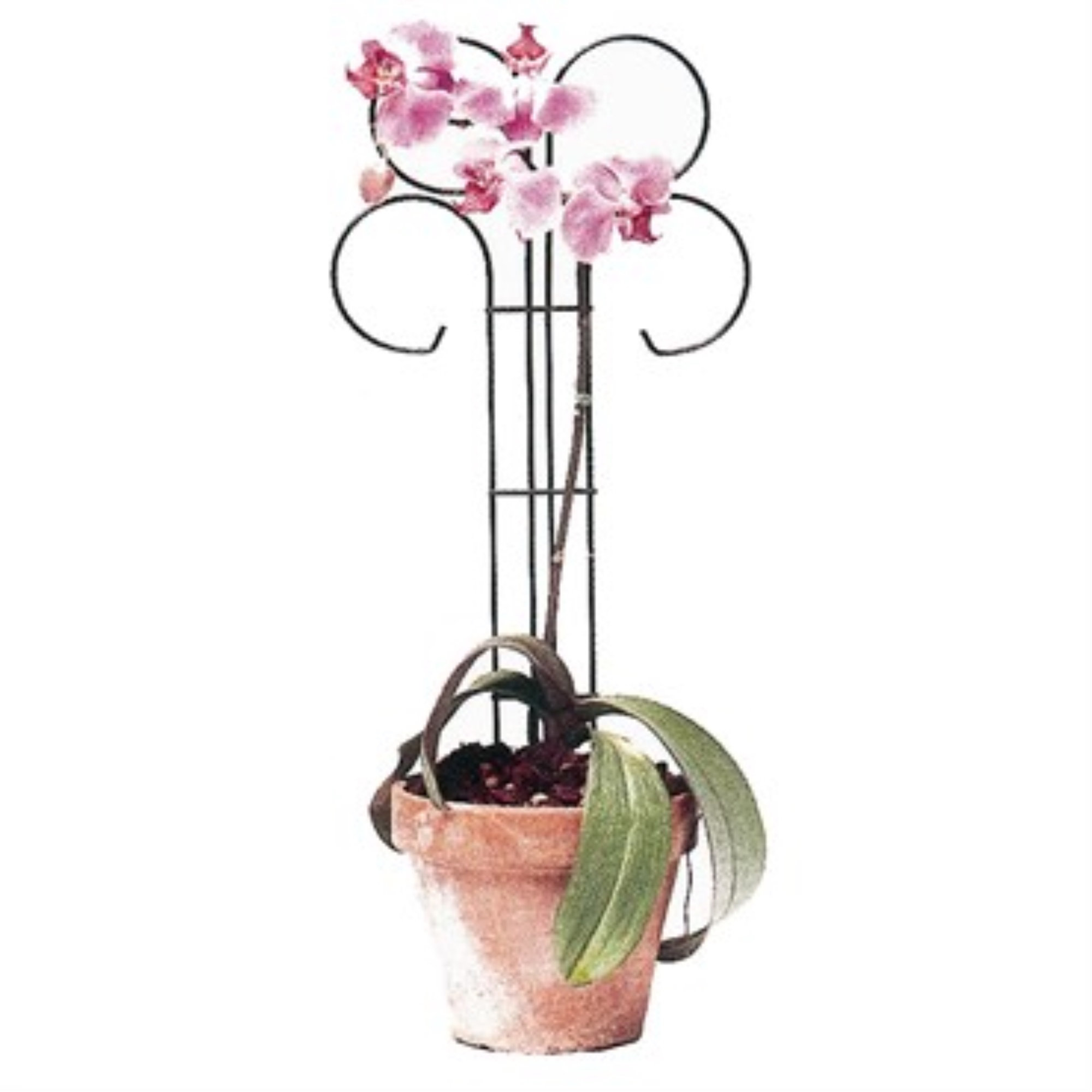 Arlmont & Co. Abigeal 24'' H x 10'' W Metal Fan Trellis | Wayfair