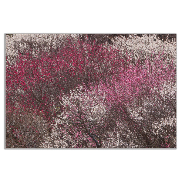 Panther Print Plum Trees - Wrapped Canvas Art Prints | Wayfair.co.uk