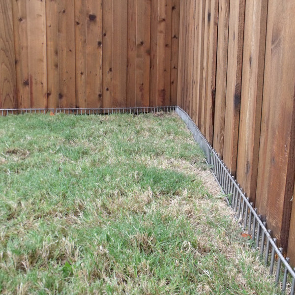 Dig Defence XL Animal Barrier & Reviews | Wayfair