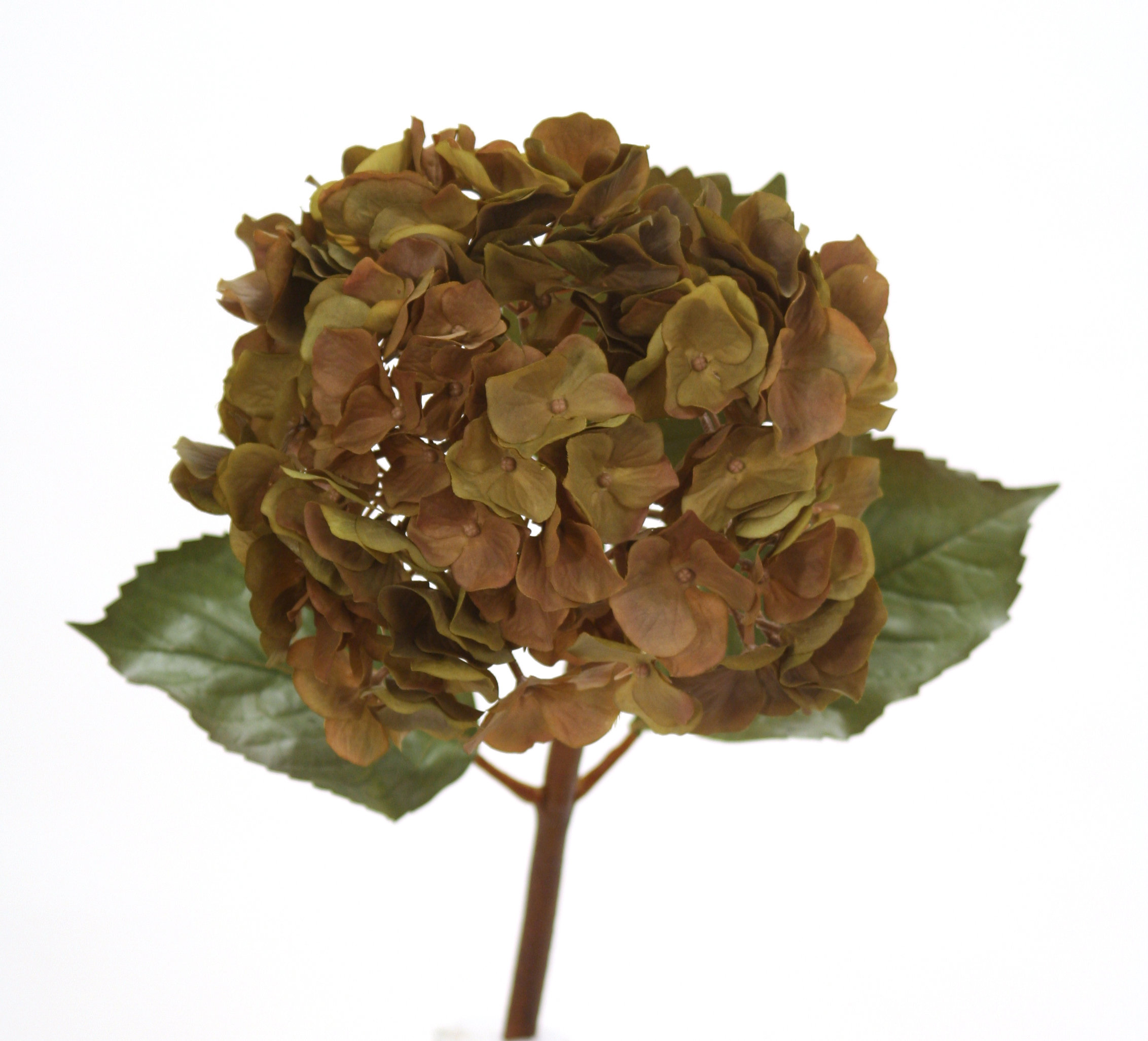Primrue Hydrangea Stem | Wayfair