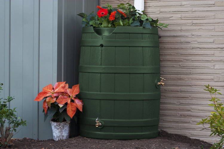 How to Collect Rainwater Using Rain Barrels | Wayfair