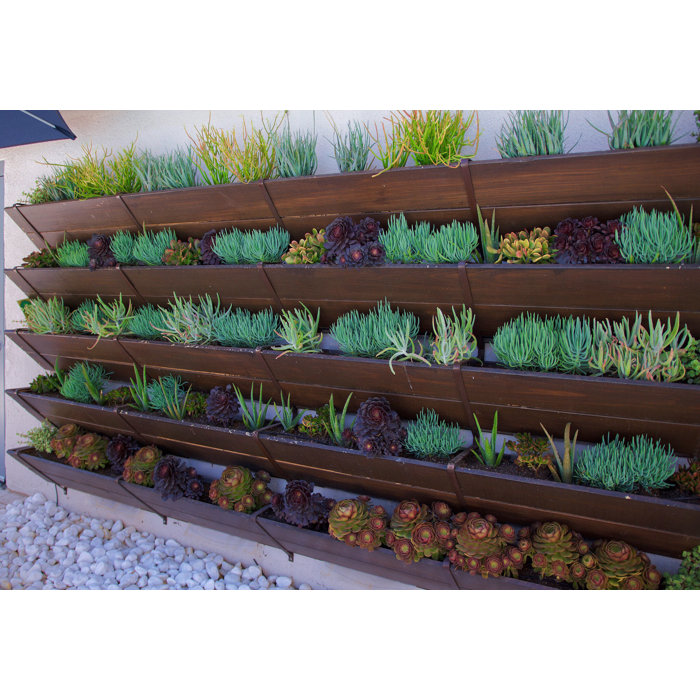 FlowerStreetUrbanGardens 5 Tier Hanging Wood Vertical Garden | Perigold