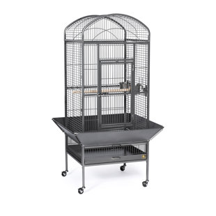 Wayfair | Large Bird Cages