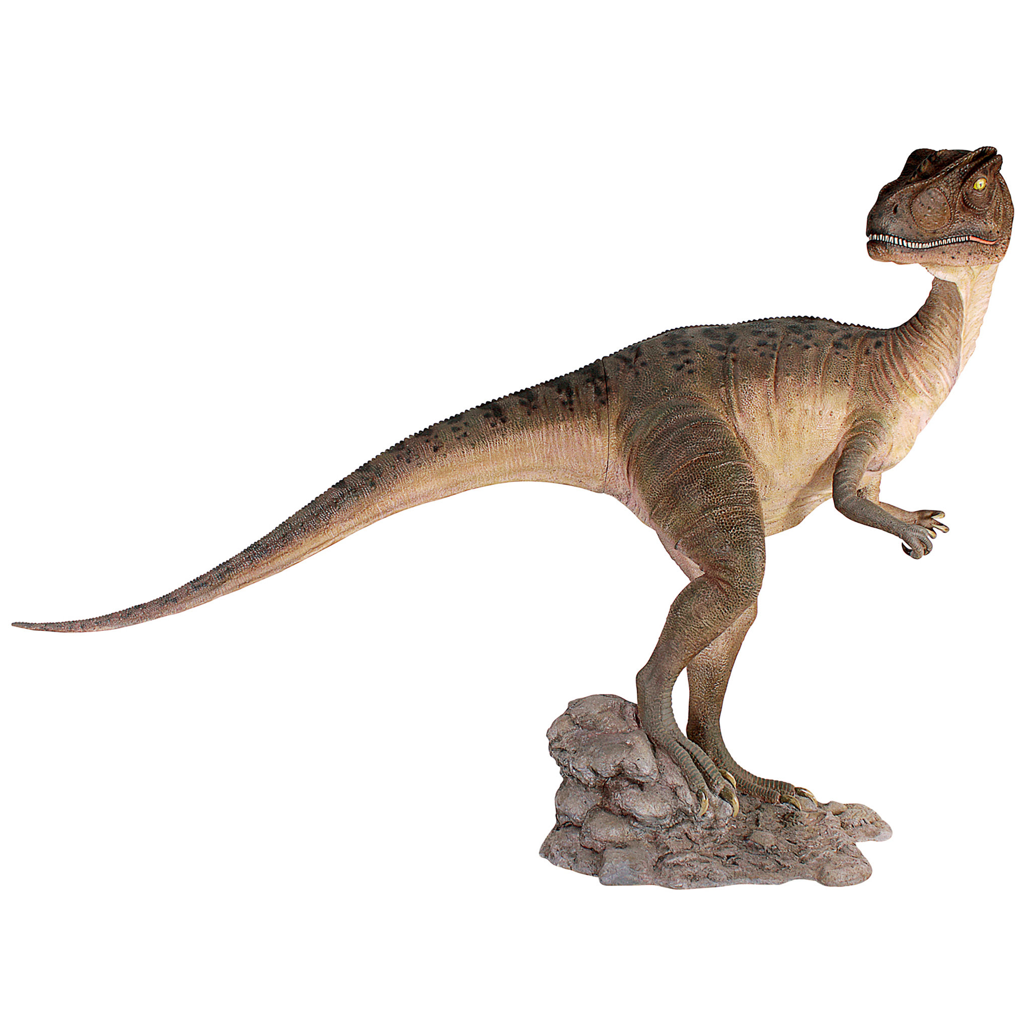 Design Toscano Jurassic - Sized Allosaurus Dinosaur Statue | Wayfair