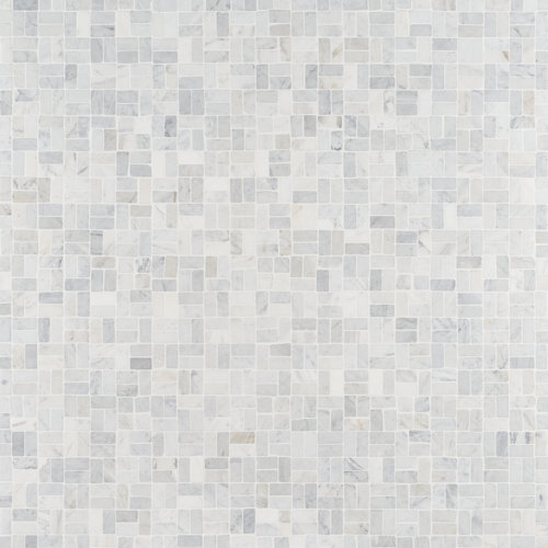 Luxury Floor & Wall Tile | Perigold