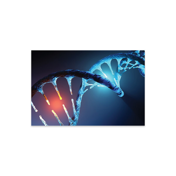 Ivy Bronx DNA Strand by - Unframed Graphic Art | Wayfair