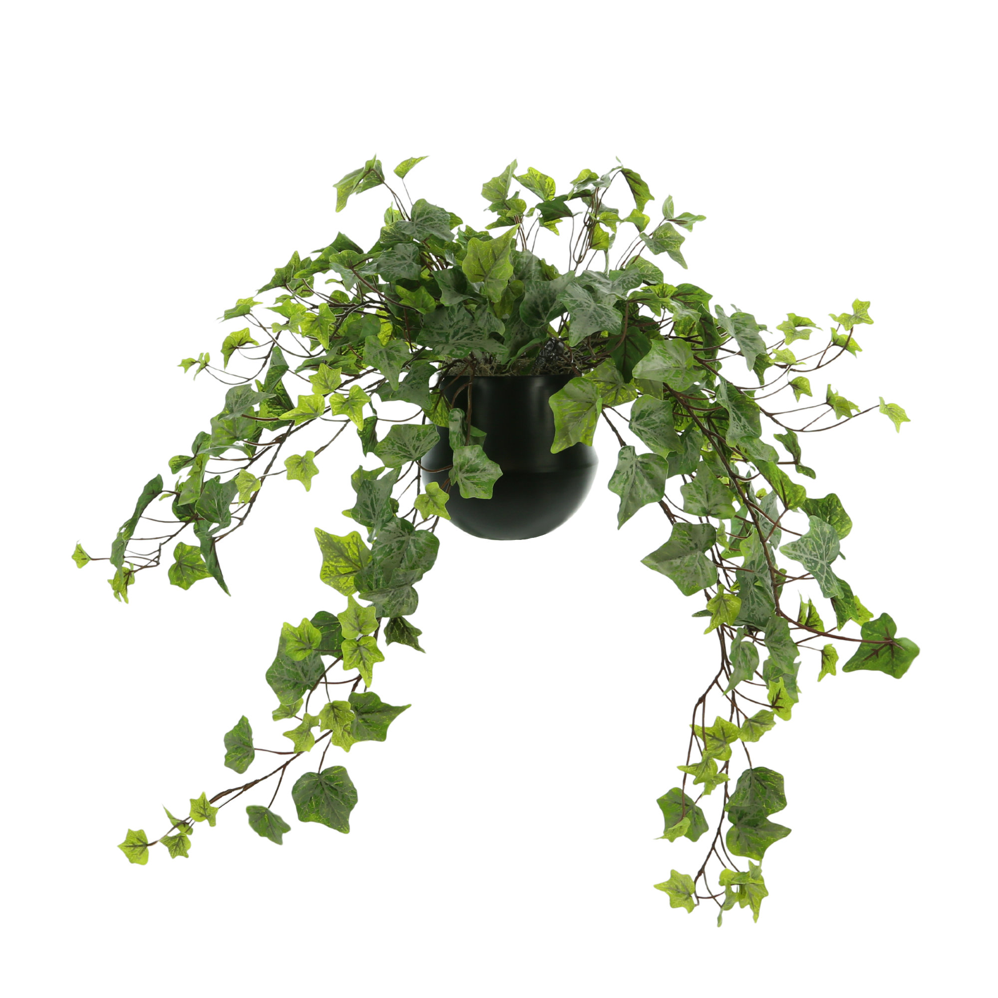 Creative Displays, Inc. Realistic Trailing Ivy Plant | Perigold