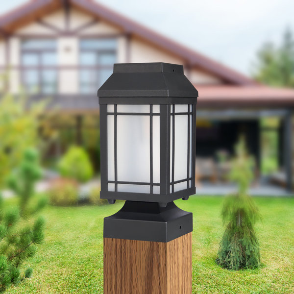 Winston Porter Jianle Lantern Head - Wayfair Canada