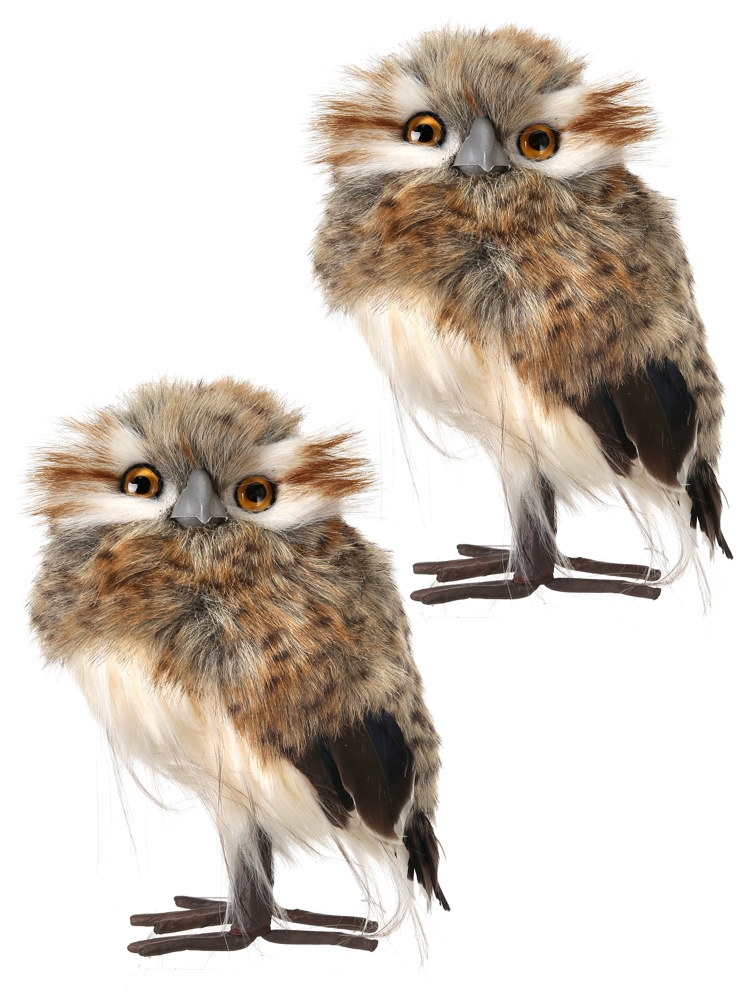 Regency International Standing Speckled Hoot Owl | Wayfair