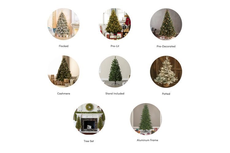 Christmas Tree Types | Wayfair