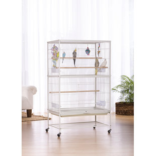 Wayfair | Bird Aviaries