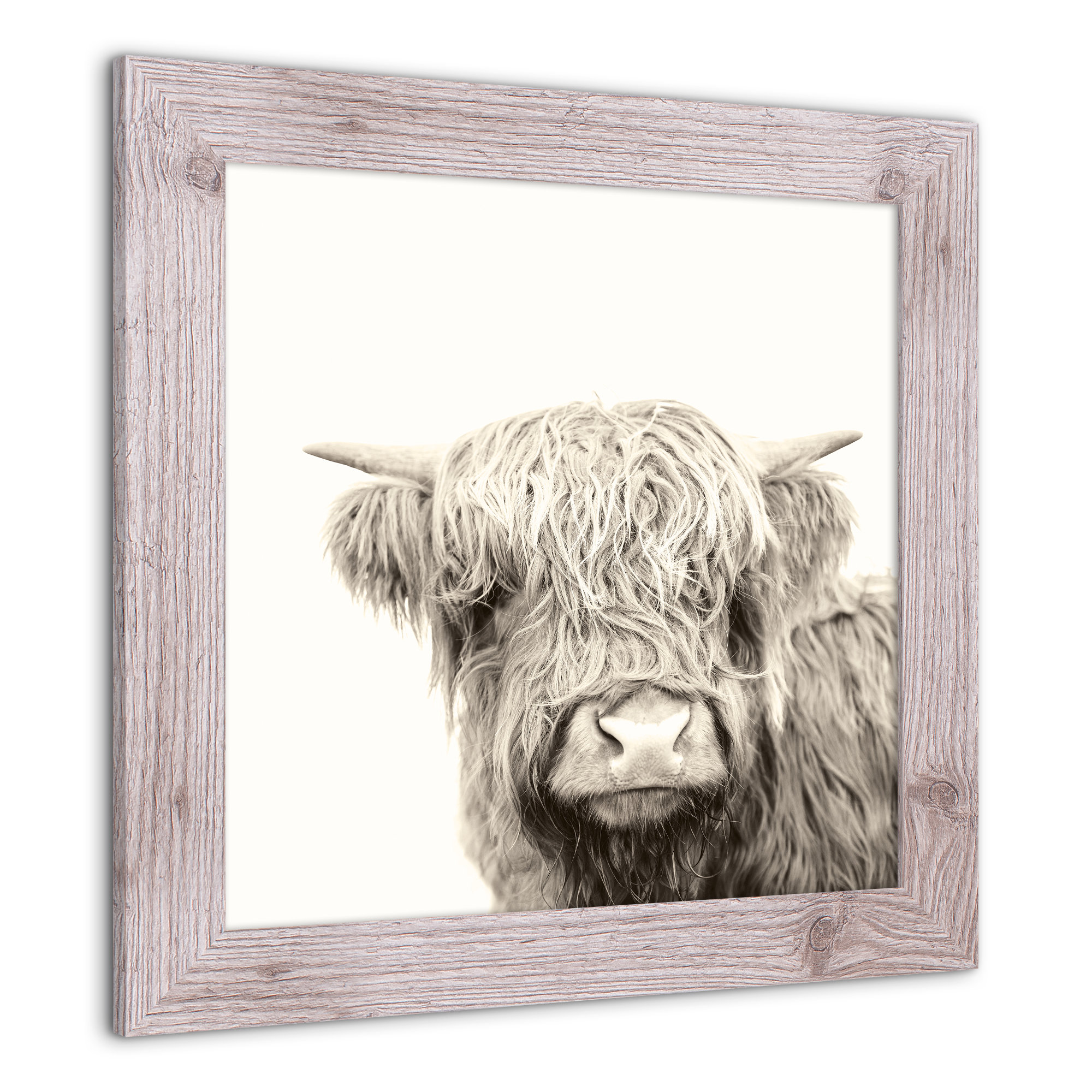 Union Rustic Shaggy Bangs Highland Cow - Picture Frame | Wayfair