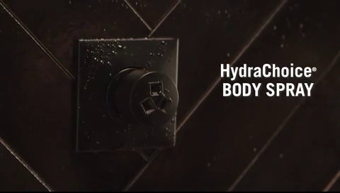 Delta HydraChoice Body Spray with Brilliance Finish | Wayfair