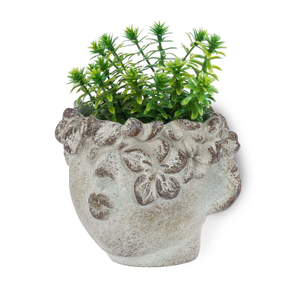 Mercer41 Baci Kissing Face Wall Planter | Wayfair