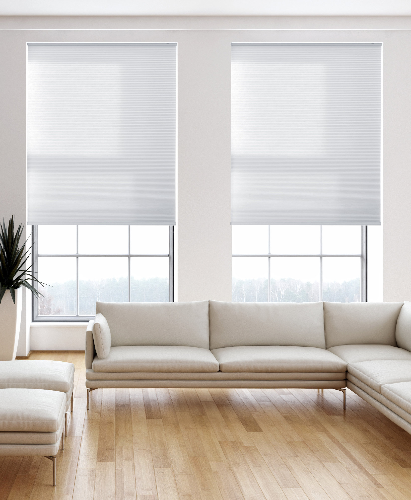 Window Blinds and Shades You'll Love in 2019 | Wayfair.ca