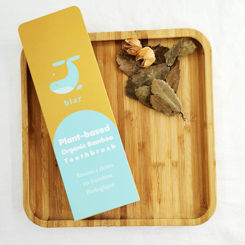 Blar Biodegradable Toothbrush Holder & Reviews | Wayfair