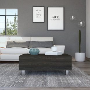 Wayfair | Low Coffee Tables You'll Love in 2022