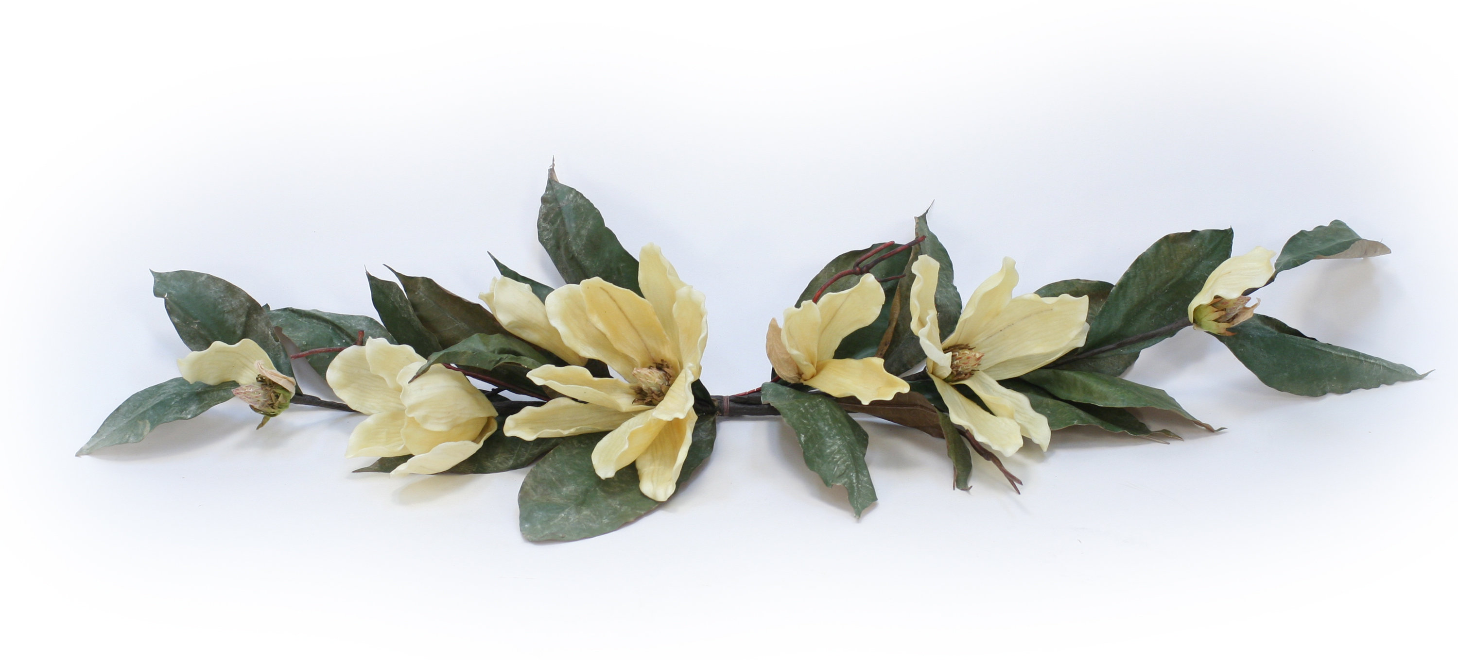 Gracie Oaks 48'' in. Preserved Magnolia Garland & Reviews | Wayfair