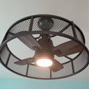 Hunter Fan 24" Seattle 4 - Blade Caged Ceiling Fan with Wall Control ...