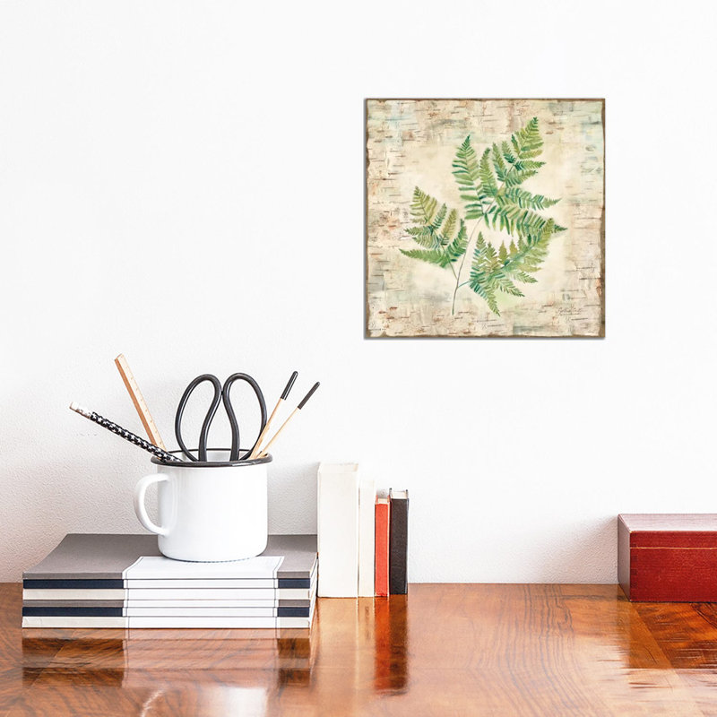 Bless international Cynthia Coulter Birch Bark Ferns I by Cynthia ...