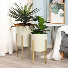 Indoor Planters Up to 60% Off - Wayfair Canada