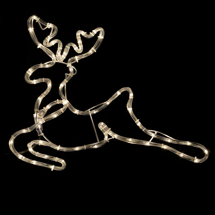 The Seasonal Aisle Reindeer 24 Light LED Rope Lighted Display & Reviews ...