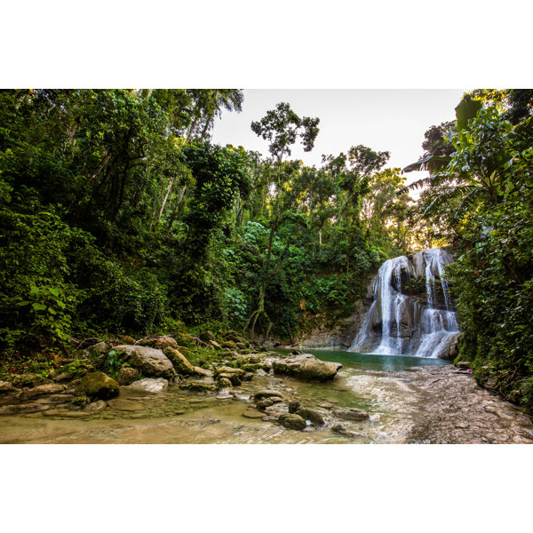 Millwood Pines Gozalandia Waterfall, San Sebastian Puerto Rico ...