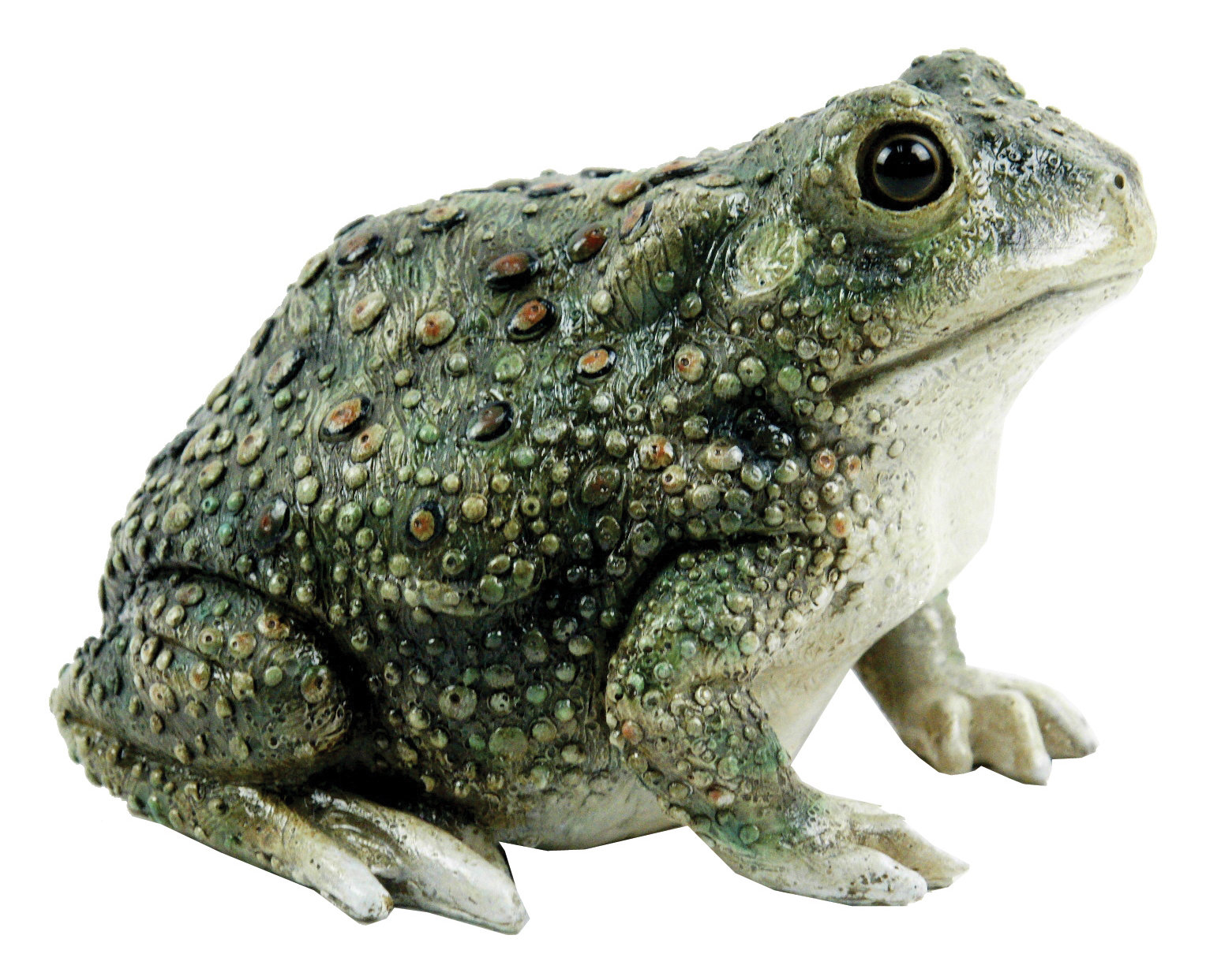 August Grove® Gerrit Texas Toad Statue & Reviews | Wayfair