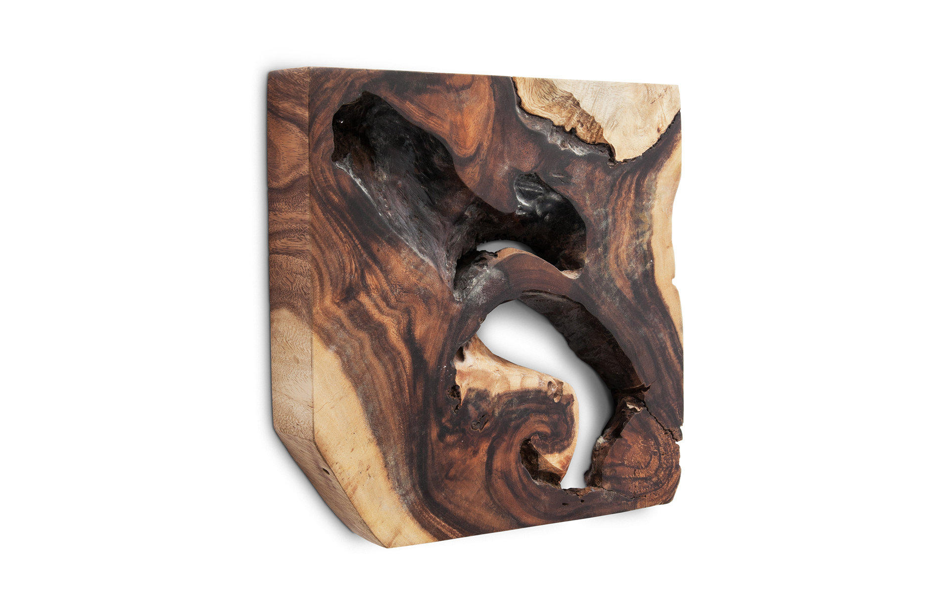 Phillips Collection Chamcha Wood Wall Décor & Reviews | Wayfair