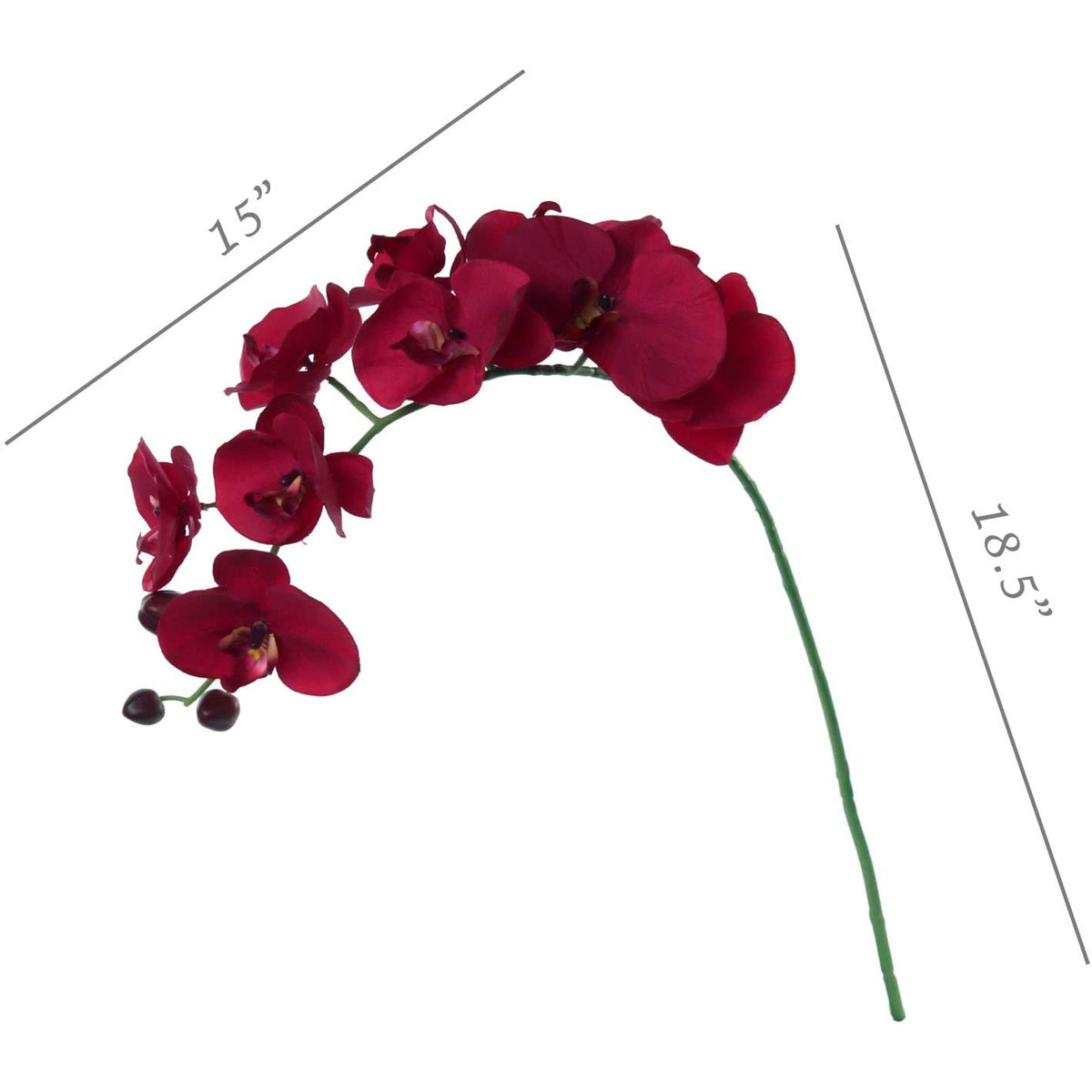 Primrue Orchid Spray & Reviews | Wayfair