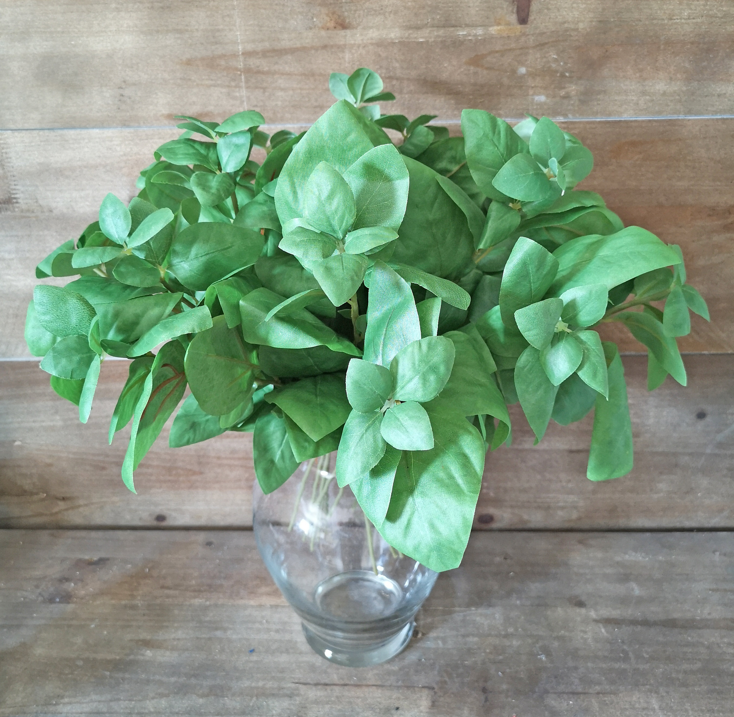 Primrue Bundles Leaf Stems | Wayfair
