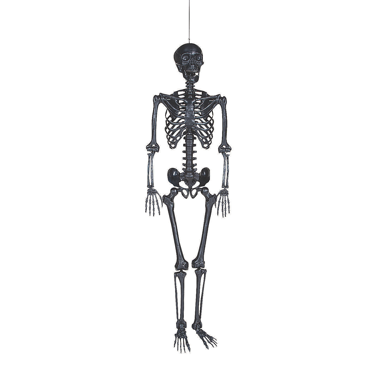 The Holiday Aisle® Life Size Poseable Skeleton Figurine | Wayfair