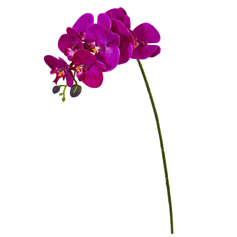 Primrue Artificial Orchids Stem & Reviews | Wayfair