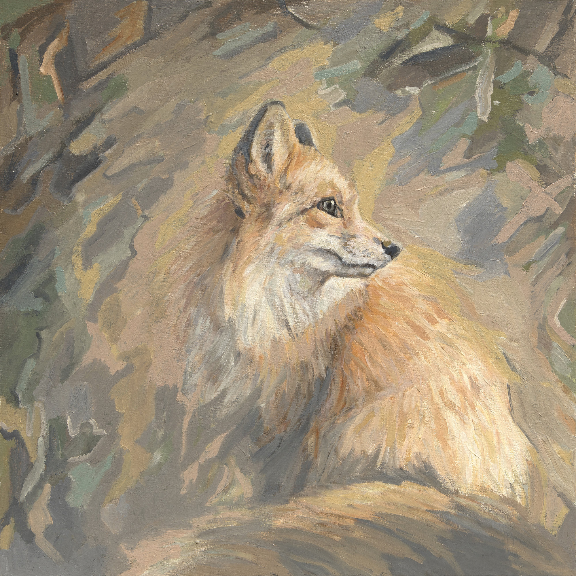 Loon Peak® Red Fox Vision by Nancy Bass - Wrapped Canvas Graphic Art ...