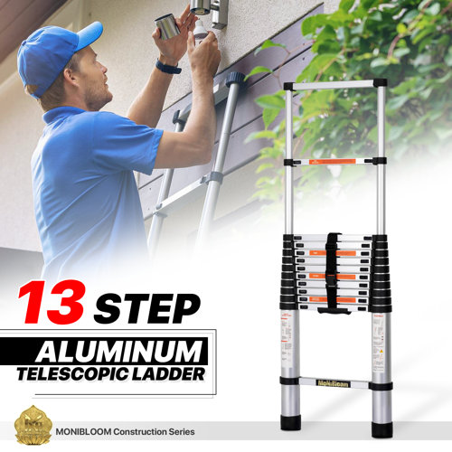 WFX Utility™ Jacksonview 12.5Ft Aluminum Extension Ladder, 331lbs Load ...