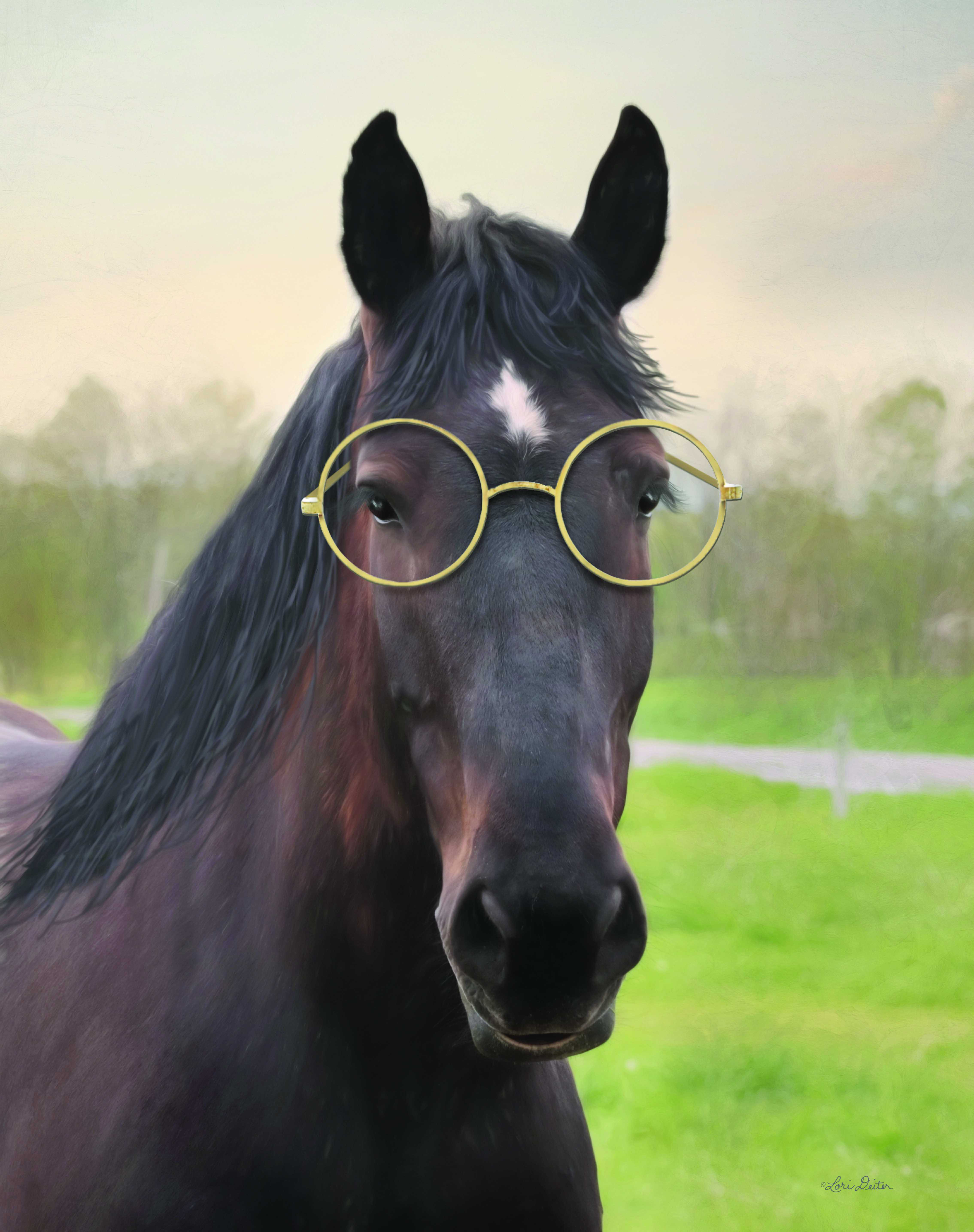Trinx Horse With Round Glasses - Wrapped Canvas Print | Wayfair