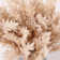 Primrue Corn Floral Arrangements in Pot | Wayfair