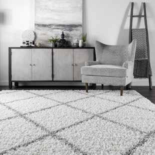Thick Pile Area Rugs You'll Love in 2023 - Wayfair Canada