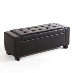 Three Posts Ashley Storage Bench & Reviews | Wayfair.co.uk