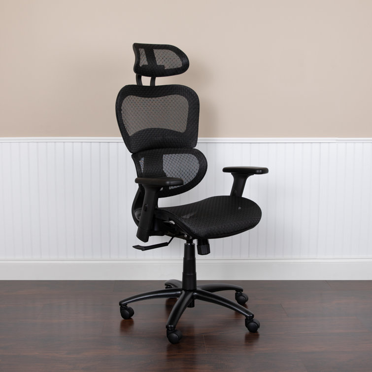Latitude Run® Opuntia Ergonomic Mesh Task Chair & Reviews | Wayfair