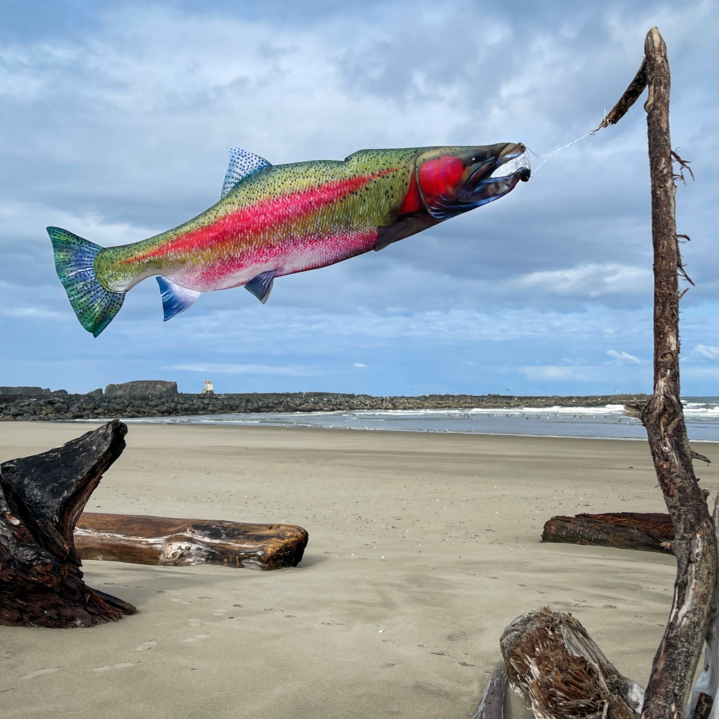 Dovecove 36" Trout Windsock | Wayfair