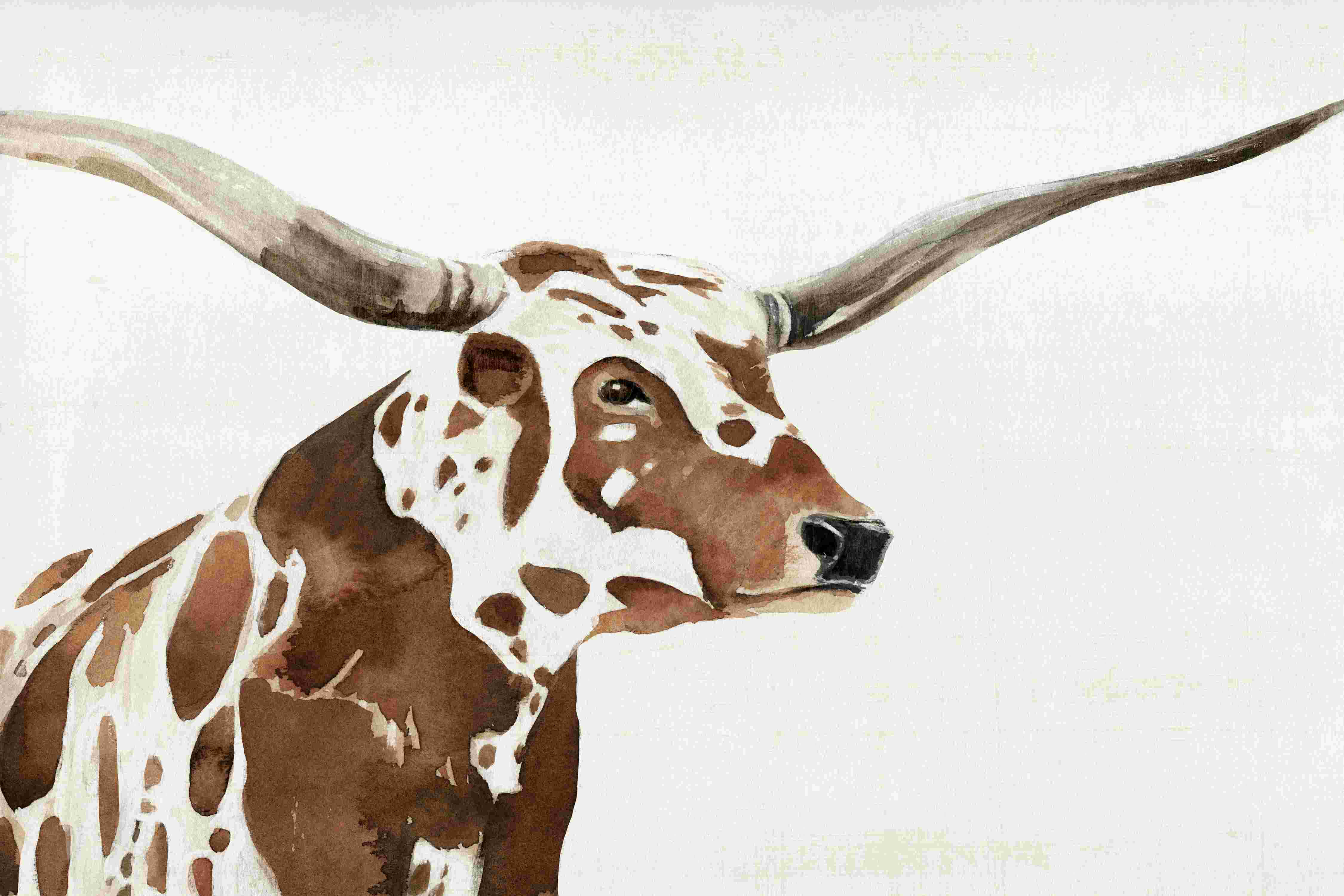 Union Rustic Spotted Steer IV - Wrapped Canvas Painting | Wayfair