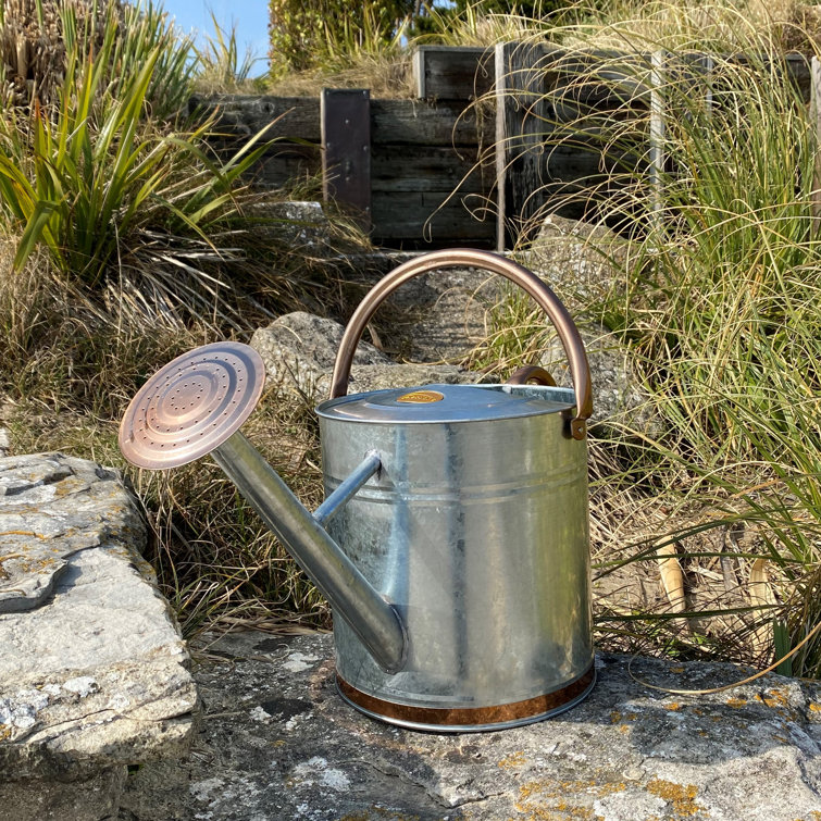 Selections 9 Litre Watering Can | Wayfair.co.uk