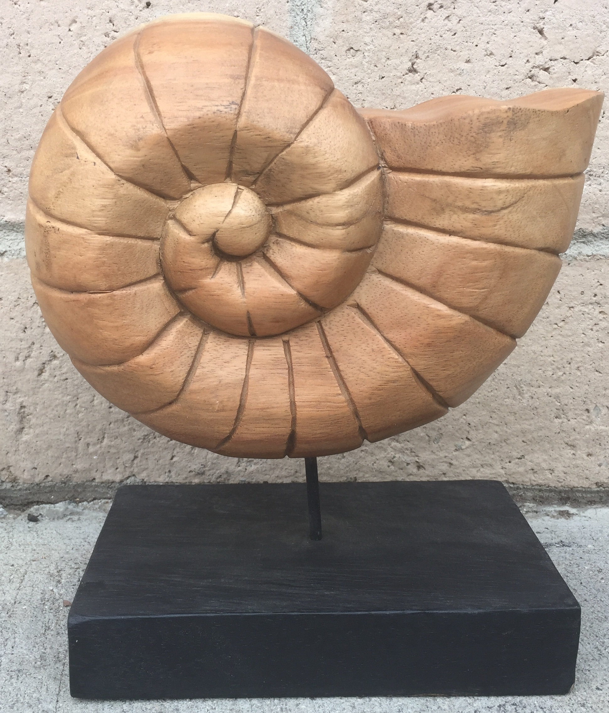 Highland Dunes Kamron Ammonite Shell Carving Sculpture | Wayfair