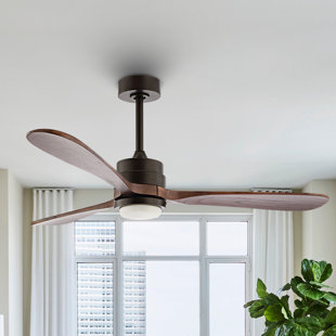 Wayfair | Ceiling Fans With Lights You'll Love in 2022